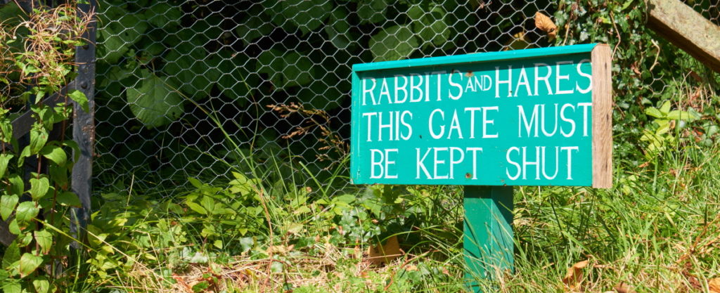 A sign warning of the problem of Rabbits and HaresA sign warning of the ...